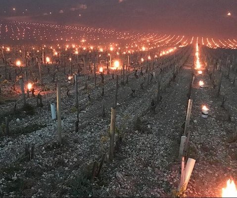Against Spring Frost Candles