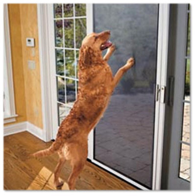 Vinyl Coated Polyester Pet Resistant Insect Screen , Durable Pet Proof Screen