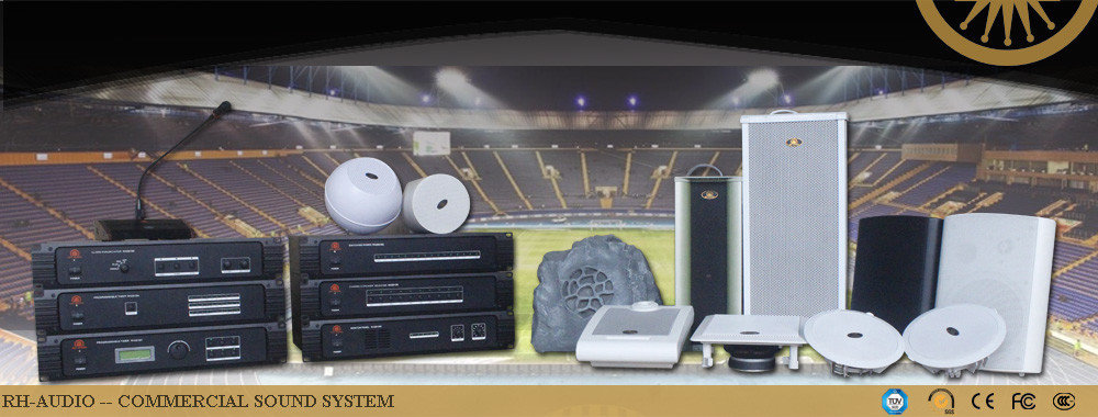 China best IP Based PA System on sales