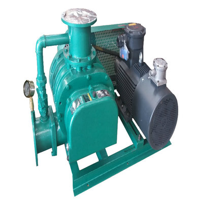 Roots Type Gas Blower Rotary Lobe Blower Nitrogen Gas Natural Gas Biogas Gas Booster Pump Gas Burner Blower