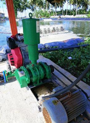 Roots Air Blowers For Aquaculture Fish Ponds Tanks Shrimp Farming Air Blowers aquaculture farms air pumps
