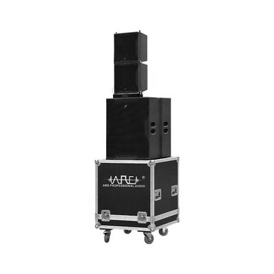 ARE Audio Passive Single 10 Inch Full Range PA System Professional Speakers for Outdoor Indoor