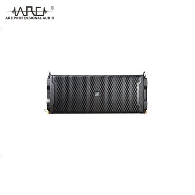 ARE AUDIO dual 8 inch high-fidelity outdoor line array speak for gym