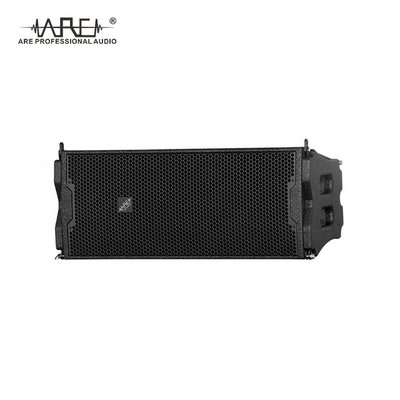 ARE Audio Dual 10" Line Array Professional Audio System Passive Line Array for Medium-sized Performances