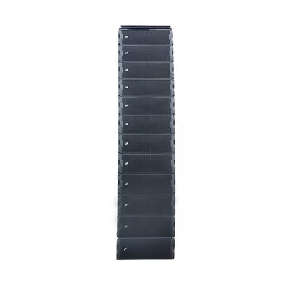 ARE Audio Dual 12" Line Array Outdoor System PA System Set Monitor Speaker for Medium Events