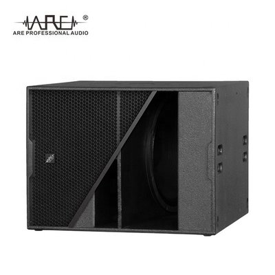 ARE Audio Dual 8 Inch Outdoor Line Array Set Professional Audio System Portable Speaker Set