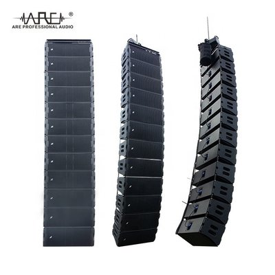 ARE Audio Dual 12" Outdoor Line Array Set Line Array System Monitor Speaker for Medium Events