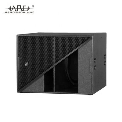 ARE Audio Dual 12" Outdoor Line Array Set Line Array System Monitor Speaker for Medium Events