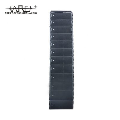 ARE Audio Dual 12" Line Array PA System Set Professional Audio System Outdoor Line Array Church Line Array Speaker