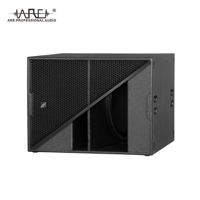 ARE Audio Dual 12" Line Array PA System Set Professional Audio System Outdoor Line Array Church Line Array Speaker