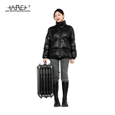 ARE Audio Dual 12" Line Array PA System Set Professional Audio System Outdoor Line Array Church Line Array Speaker