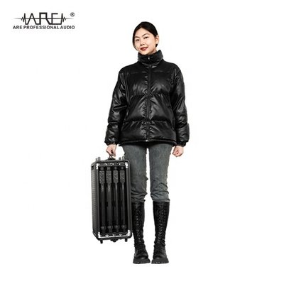 ARE Audio Line Array Speaker PA System with Eight Single 10" Full Range and Four 18" Bandpass Subwoofers