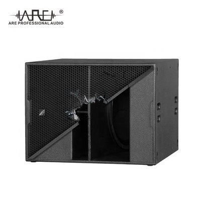 ARE AUDIO dual 12 inch passive outdoor line array speaker system for large events