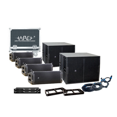 ARE Audio Dual 12" Line Array Outdoor System PA System Set Monitor Speaker for Medium Events