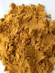 China Chinese Herb Polygonum Multiflorum He Shou Wu Foti Root Extract 10% powder supplier