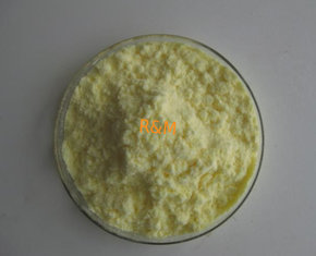 China Hot selling celery extract 98% apigenin in bulk supplier