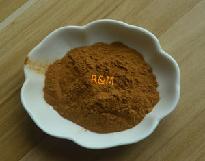 China 100% Natural 0.35% Isofraxidin HPLC/Sarcandra Glabra Extract powder supplier