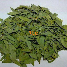 China natural Senna Leaf Extract 6.0~30.0% Sennosides powder Test by HPLC supplier