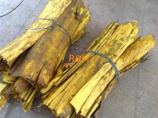 Natural herb extract Barberry root extract berberine hcl 98%powder supplier