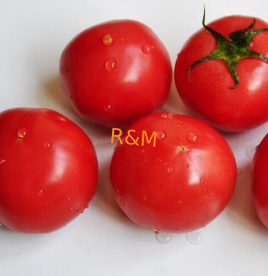 Natural Tomato Extract water soluble Lycopene 10%powder supplier