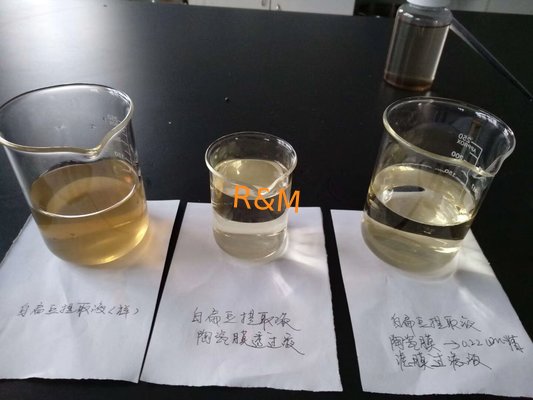Pure Natural Semen Lablab Album P.E/White lentil Extract supplier