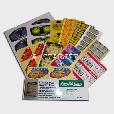 A4 Size Auto Sheet Fed Digital Cutter For Label Solution in Cutting Paper Lables