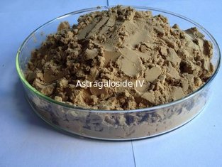 China Tribulus extract supplier