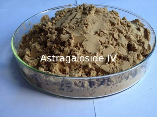 Astraalus P. E ( 0.3-99% Astragaloside IV) Specialized manufcturer for astragaloside IV supplier
