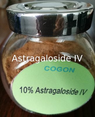 10% Astragaloside IV by HPLC-ELSD supplier