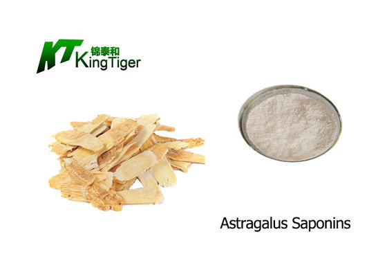Pharmaceutical Organic Astragalus Root Powder , Antioxidants Astragalus Powder