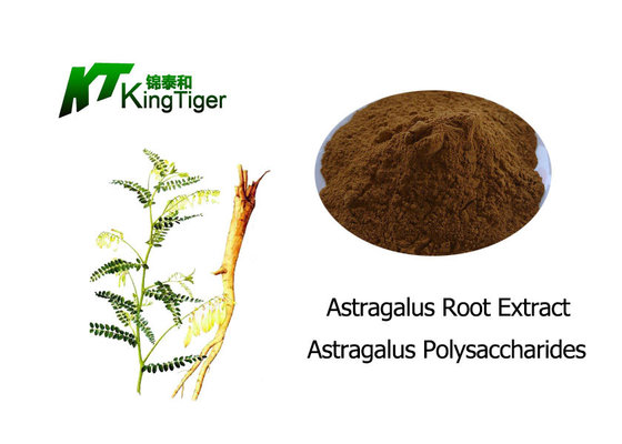 High Purity Astragalus Polysaccharides Prevention Of Oxidative Stress