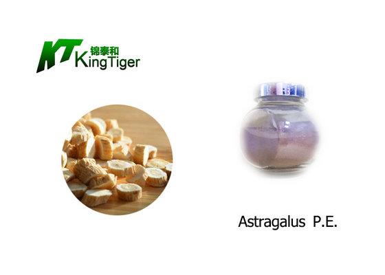 Brown Yellow Astragalus Extract Powder For Functional Food And Food Additive
