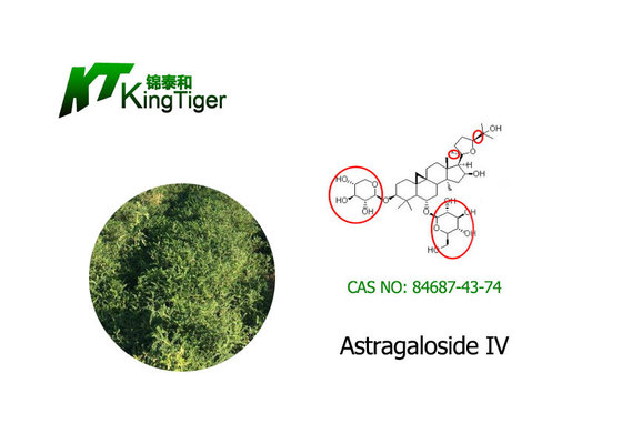Promising Natural Compound Astragaloside 4 5% Powder For Capsules And Supplement