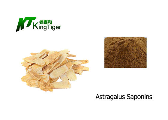 1% Pure Astragalus Membranaceus Extract Benefitting Spleen And Kidney