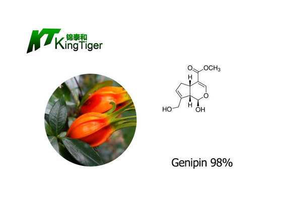 Pure Natural 98% Genipin Effectively Reduce Internal Heat Reduce Blood Pressure