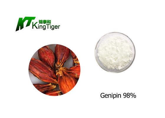 Natural Crosslinker 98% Genipin Used As A Regulating Agent For Drug Delivery