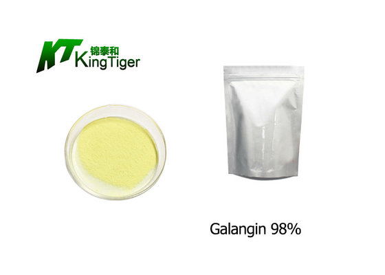 Yellow Powder Galangal Root Extract , Galangal Powder Improve Poor Blood Circulation