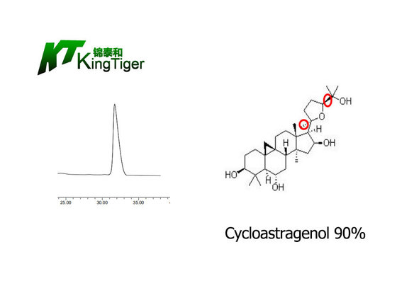 Light Yellow Astragalus Root Extract Powder Telomere Supplement 90% By HPLC