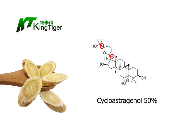 Astragalus Membranaceus Extract Cycloastragenol Powder 50% For Antioxidants