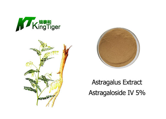C41H68O14 Astragalus Root Extract Powder Enhance Immunity Lowering Cholesterol Levels