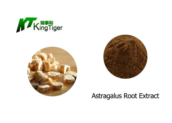 Food Grade Astragalus Root Powder Dosage , Health Protect Astragalus Root Extract