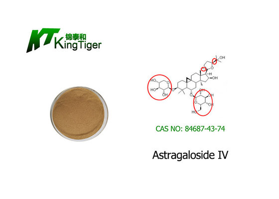 Fruit Extract Astragaloside IV 1% Astragalus Root Extract Tolemerase Activator