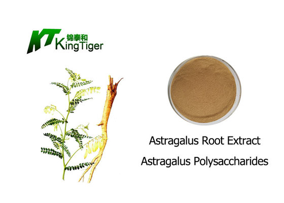 Immunity Booster GMP Astragalus Polysaccharides Slows Or Prevents The Growth Of Tumors