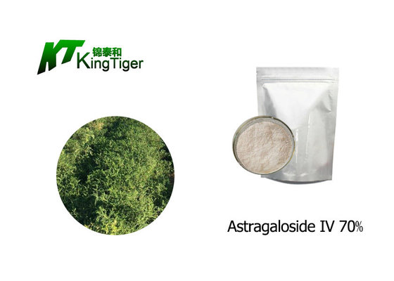 70% Yellow Astragaloside IV Herbal Extract As Additives To Support the Immune System