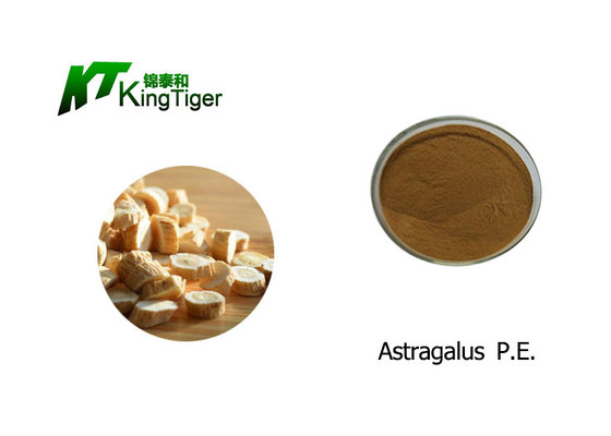 Water Extraction Astragalus Extract Powder Help Recovery From Chronic Stress