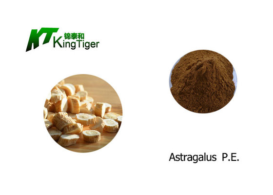 Natural Plant Astragalus Extract Powder Helps With Stimulation Of White Blood Cells