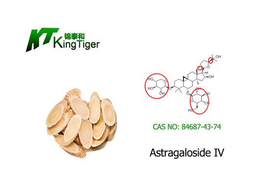Antiaging Astragaloside A 10% Astragalus Root Powder CAS NO 84687 43 4