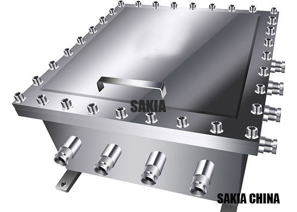 Hazardous Area IP65 Large Size Stainless Steel Explosion Proof  DVR Box