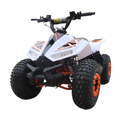 Hot Sale Shaft Drive Electric Mini Kids ATV Electric 4 Wheels Kids Electric Quad Bike