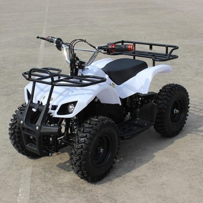 49cc mini size quad for child 2 stroke engine pull start electric start atv gasoline toy for children